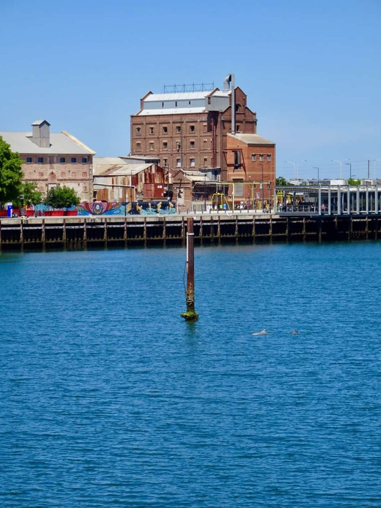 40 Best Port Adelaide Attractions: The Ultimate Guide | Greek Gods Paradise
