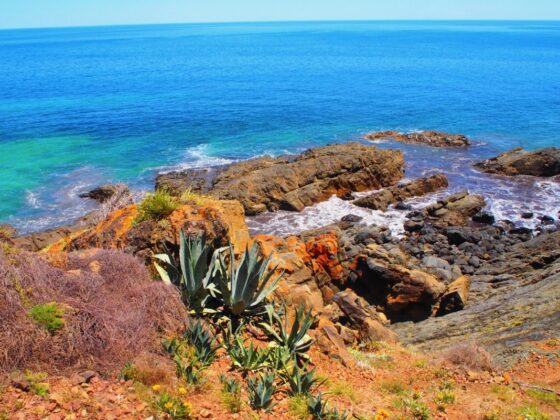 Carrickalinga Rock Pools and Beach Guide (+ Map) | Greek Gods Paradise