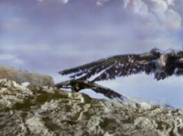 The Storyteller: Greek Myths by Jim Henson | Greek Gods Paradise