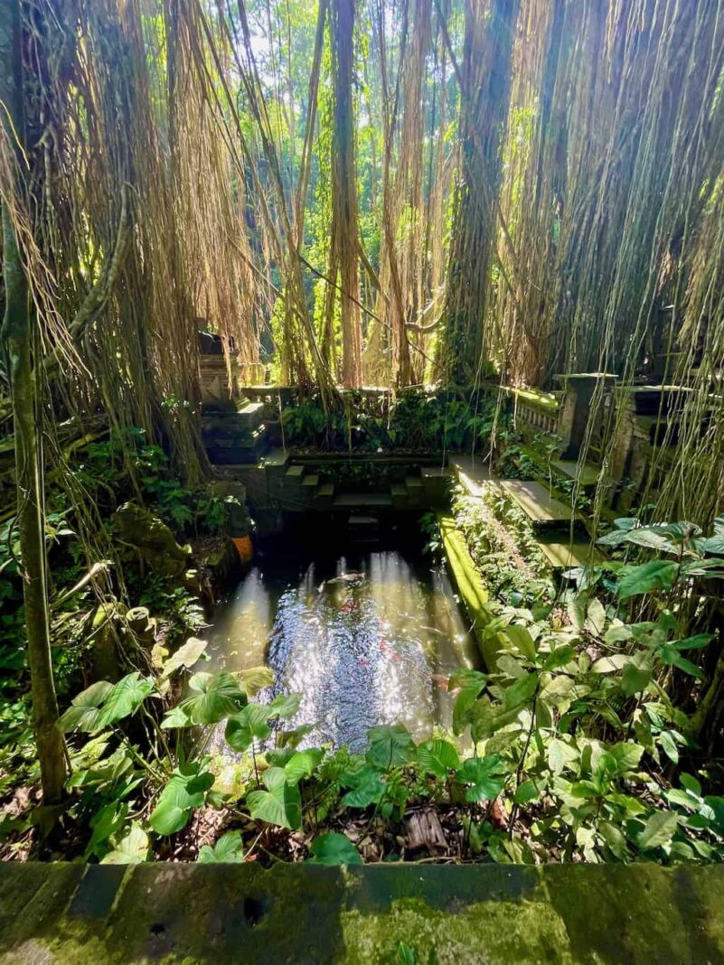 Ubud MONKEY FOREST Travel Guide: Exploring Wildlife, Culture, and More ...