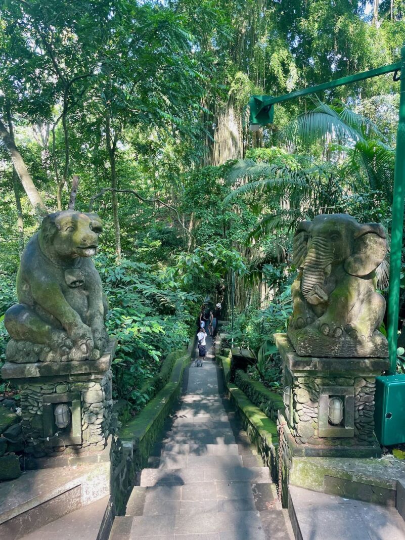 Ubud MONKEY FOREST Travel Guide: Exploring Wildlife, Culture, and More ...