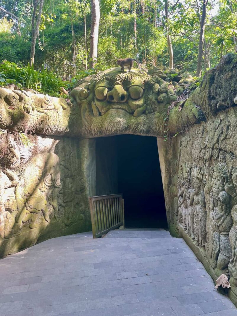 Ubud MONKEY FOREST Travel Guide: Exploring Wildlife, Culture, and More ...