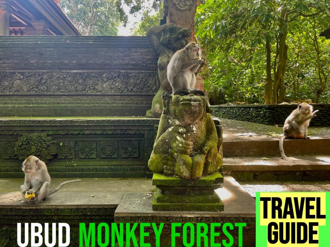Ubud MONKEY FOREST Travel Guide: Exploring Wildlife, Culture, and More ...