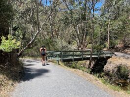 MORIALTA FALLS GUIDE: Best Waterfall Hike (Adelaide) | Greek Gods Paradise