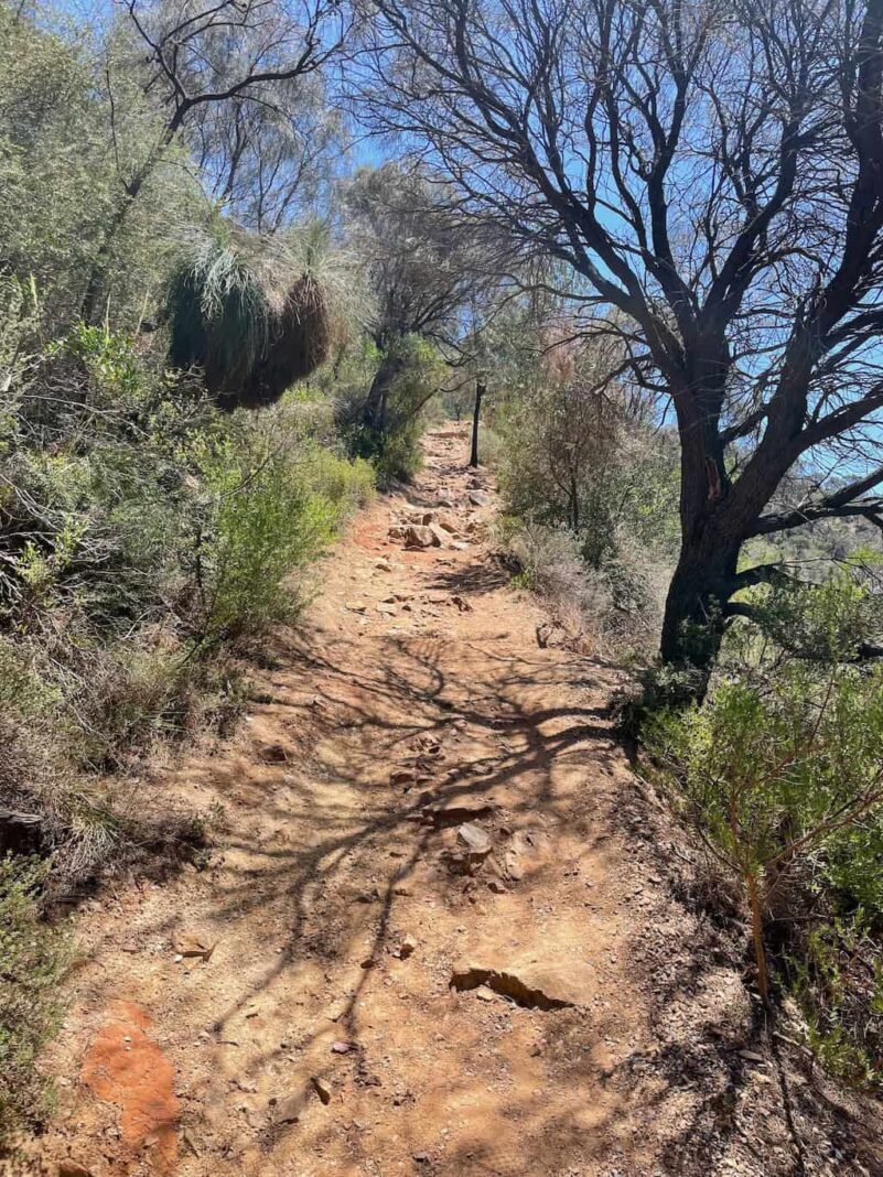 MORIALTA FALLS GUIDE: Best Waterfall Hike (Adelaide) | Greek Gods Paradise